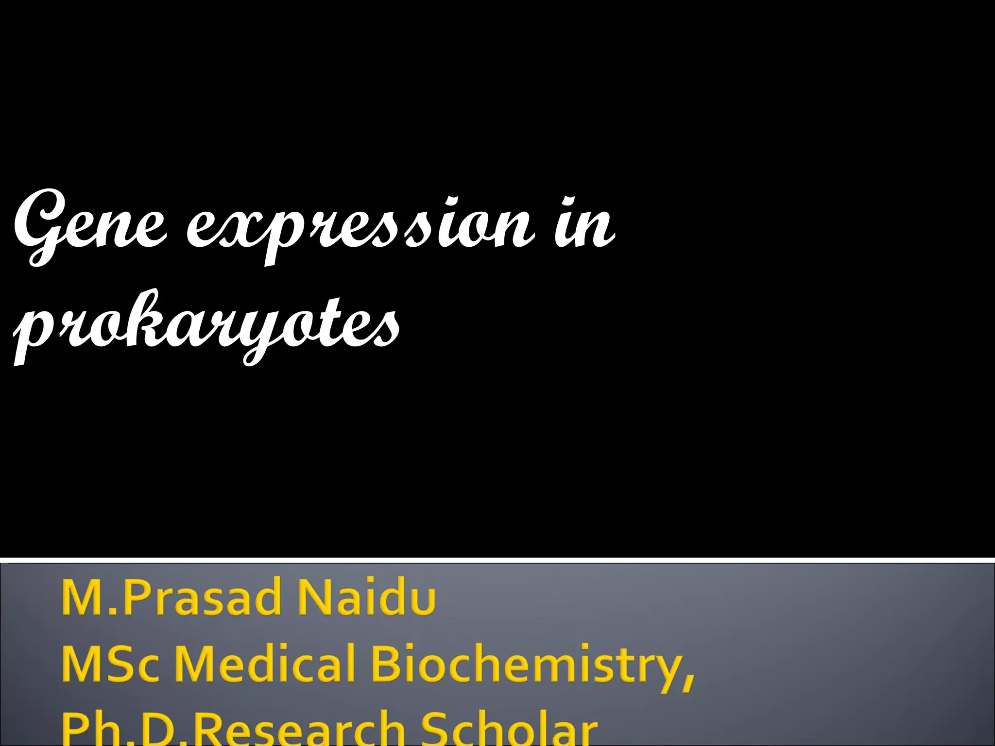 Gene expression in prokaryotes | PPT