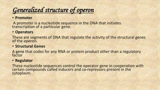 Gene expression in prokaryotes | PPTX