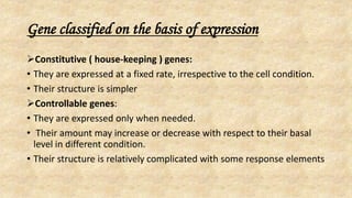 Gene expression in prokaryotes | PPT