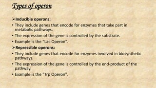 Gene expression in prokaryotes | PPT