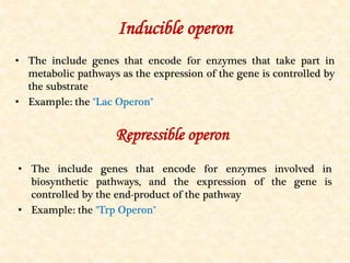 Gene expression in prokaryotes | PPTX