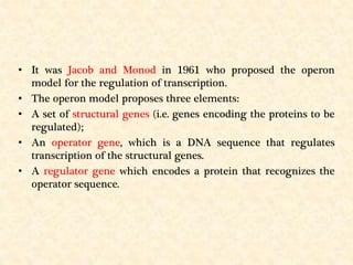 Gene expression in prokaryotes | PPTX