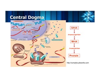 Gene expression introduction | PDF