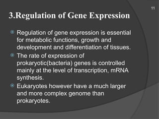 Gene - Expression and its Regulation.pptx