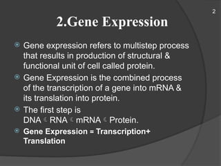 Gene - Expression and its Regulation.pptx