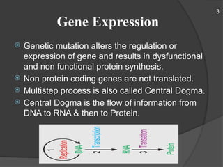 Gene - Expression and its Regulation.pptx