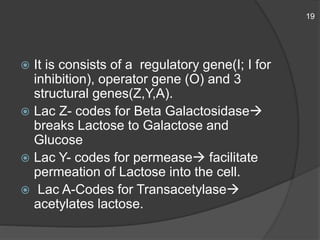 Gene expression & its regulation. | PPTX
