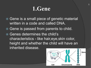 Gene expression & its regulation. | PPTX