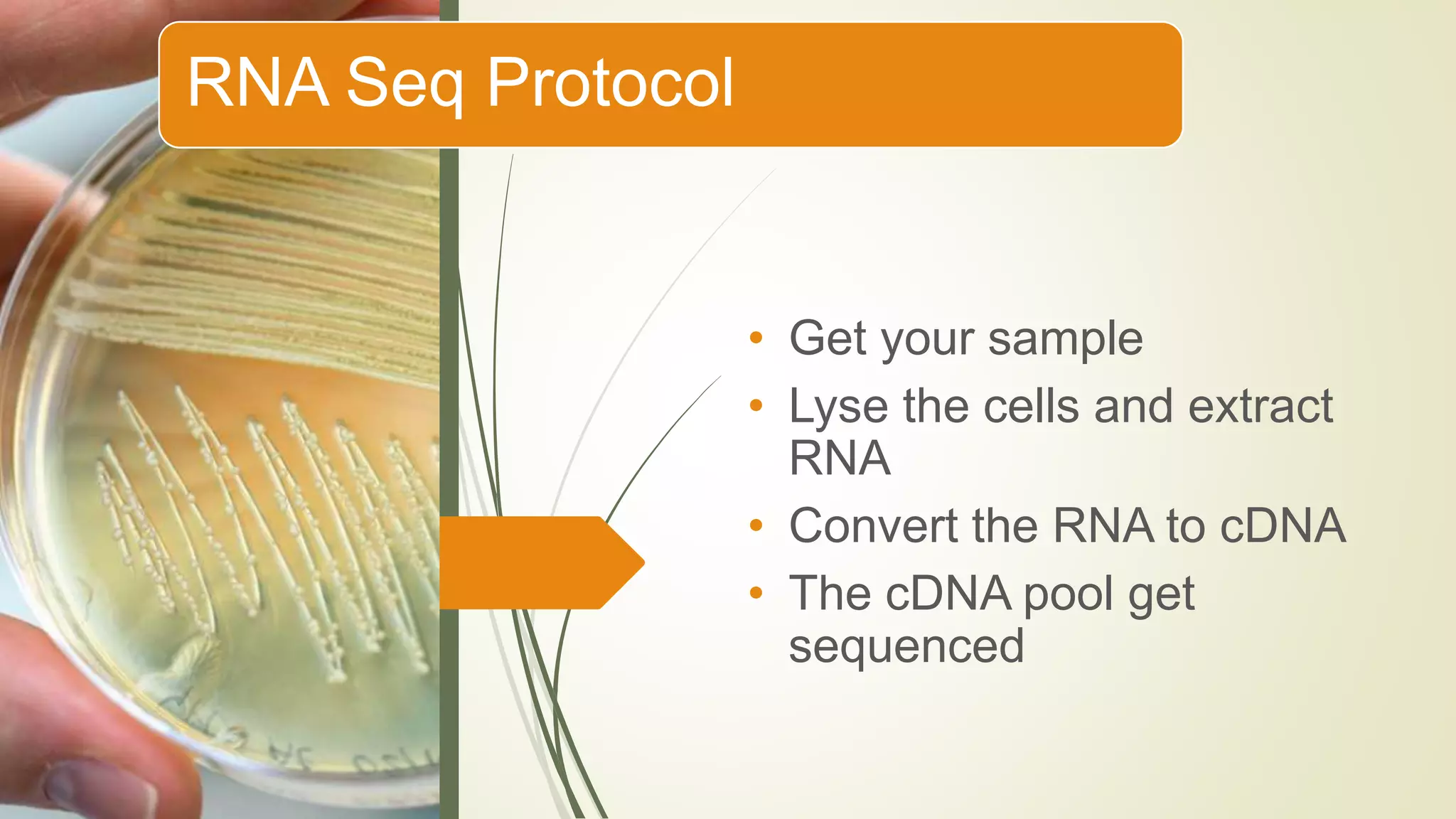 Gene expression profiling | PPTX