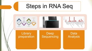 Gene expression profiling | PPTX
