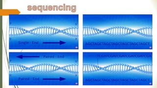 Gene expression profiling | PPTX