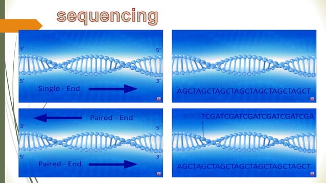 Gene expression profiling | PPTX