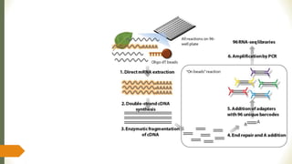 Gene expression profiling | PPTX