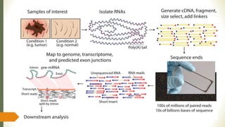 Gene expression profiling | PPTX