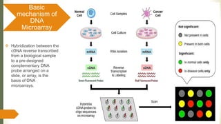 Gene expression profiling | PPTX