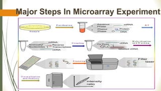 Gene expression profiling | PPTX