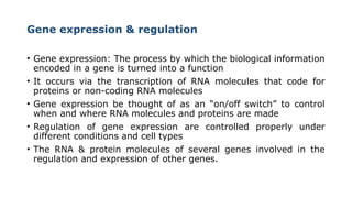 Gene Expression & Regulation-Taj.pptx ge | PPTX