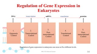 Gene Expression & Regulation in Eukaryotes.pptx