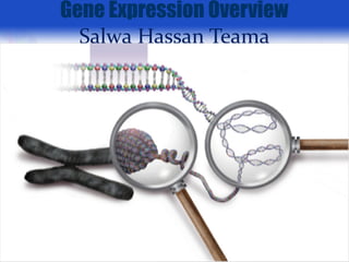 Gene expression slide | PPT