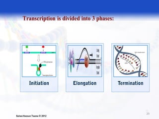 Gene expression slide | PPT