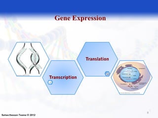 Gene expression slide | PPT