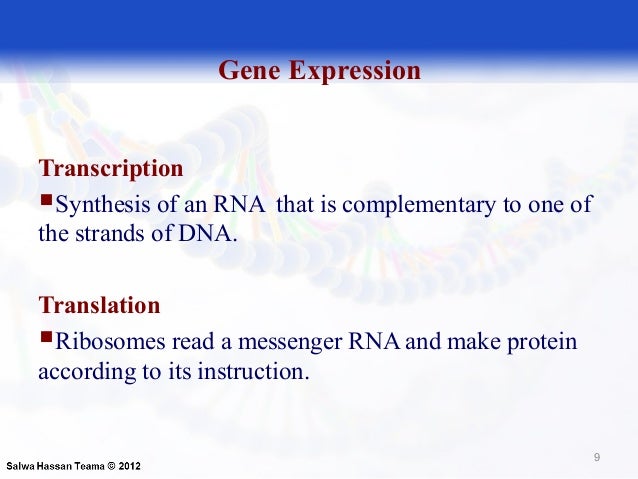 Gene expression slide