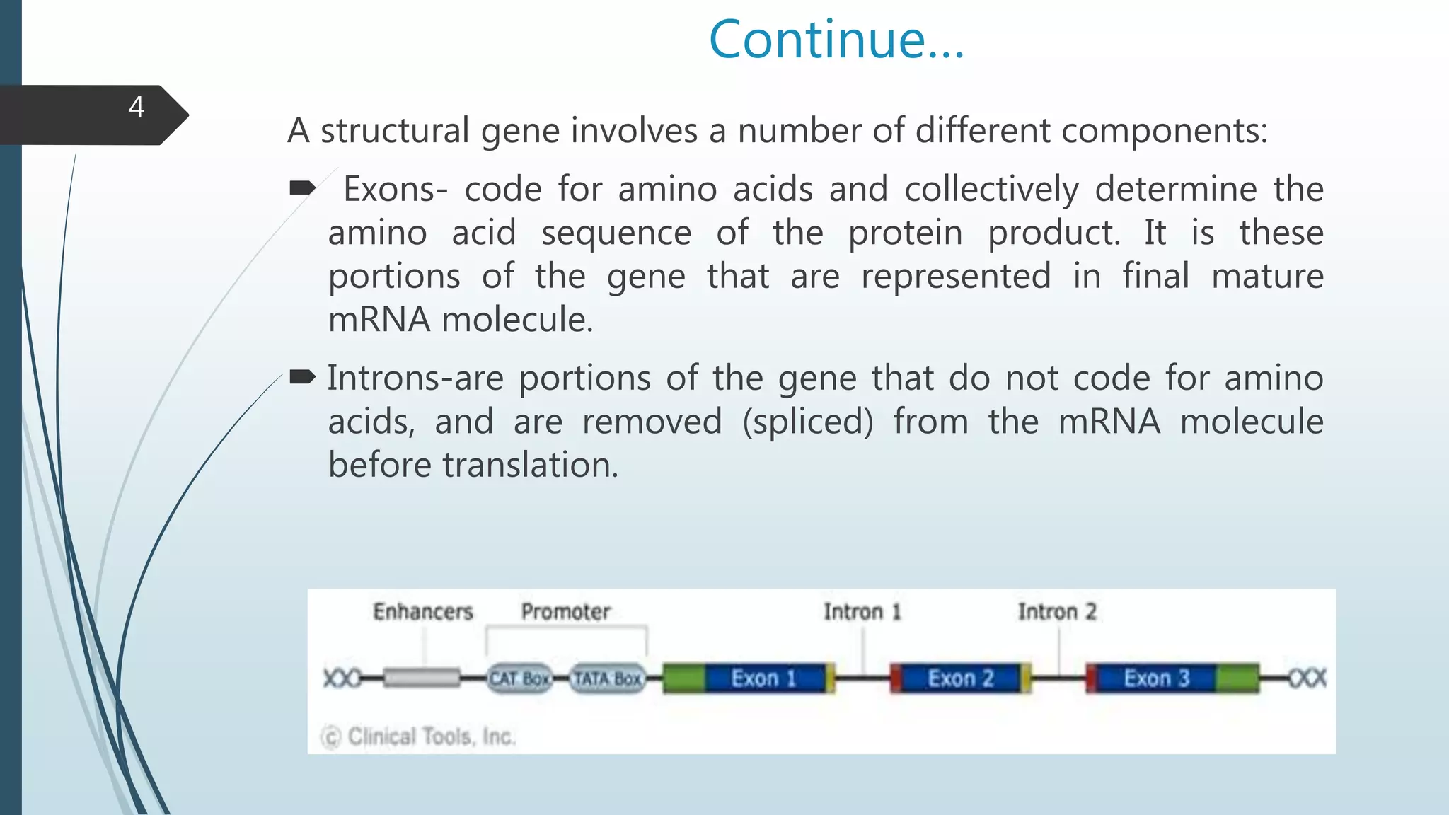 Gene expression system | PPTX