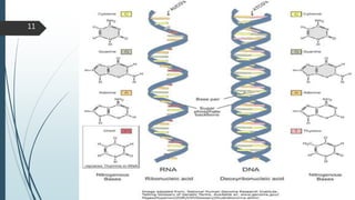 Gene expression system | PPTX