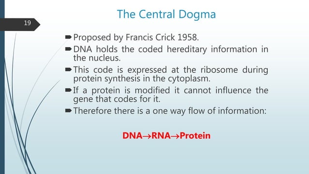Gene expression system | PPTX | Chemistry | Science