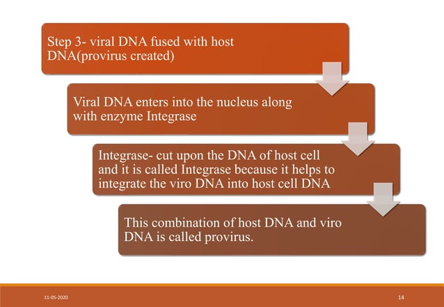 Gene expression systems | PDF