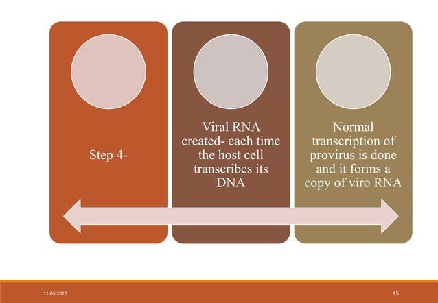 Gene expression systems | PDF