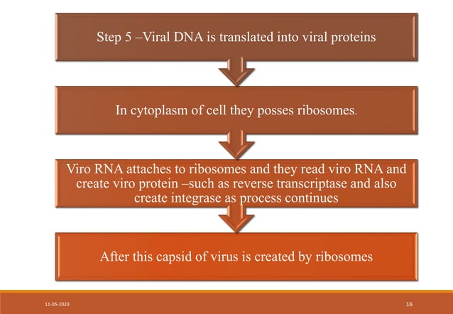 Gene expression systems | PDF