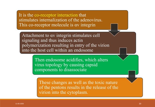 Gene expression systems | PDF