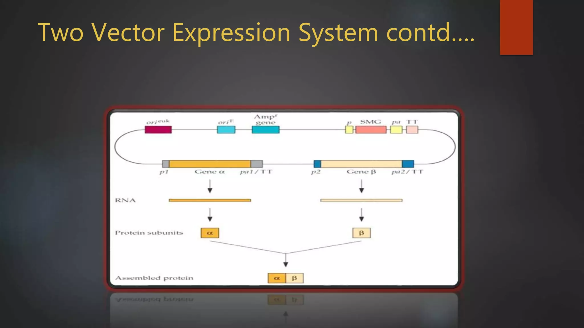 Gene expression vector by tahura mariyam ansari | PPTX | Programming Languages | Computing