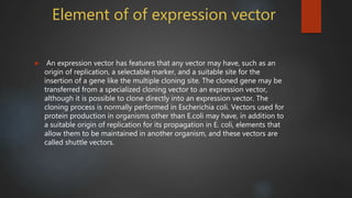 Gene expression vector by tahura mariyam ansari | PPTX | Programming Languages | Computing