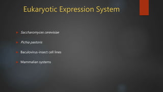 Gene expression vector by tahura mariyam ansari | PPTX | Programming Languages | Computing