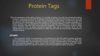 Gene expression vector by tahura mariyam ansari | PPTX | Programming ...