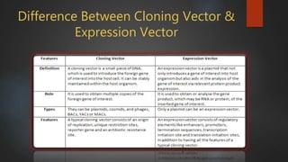 Gene expression vector by tahura mariyam ansari | PPTX | Programming Languages | Computing