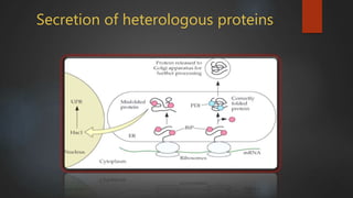 Gene expression vector by tahura mariyam ansari | PPTX