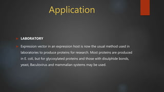 Gene expression vector by tahura mariyam ansari | PPTX | Programming ...