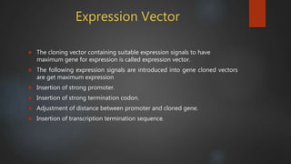 Gene expression vector by tahura mariyam ansari | PPTX | Programming Languages | Computing