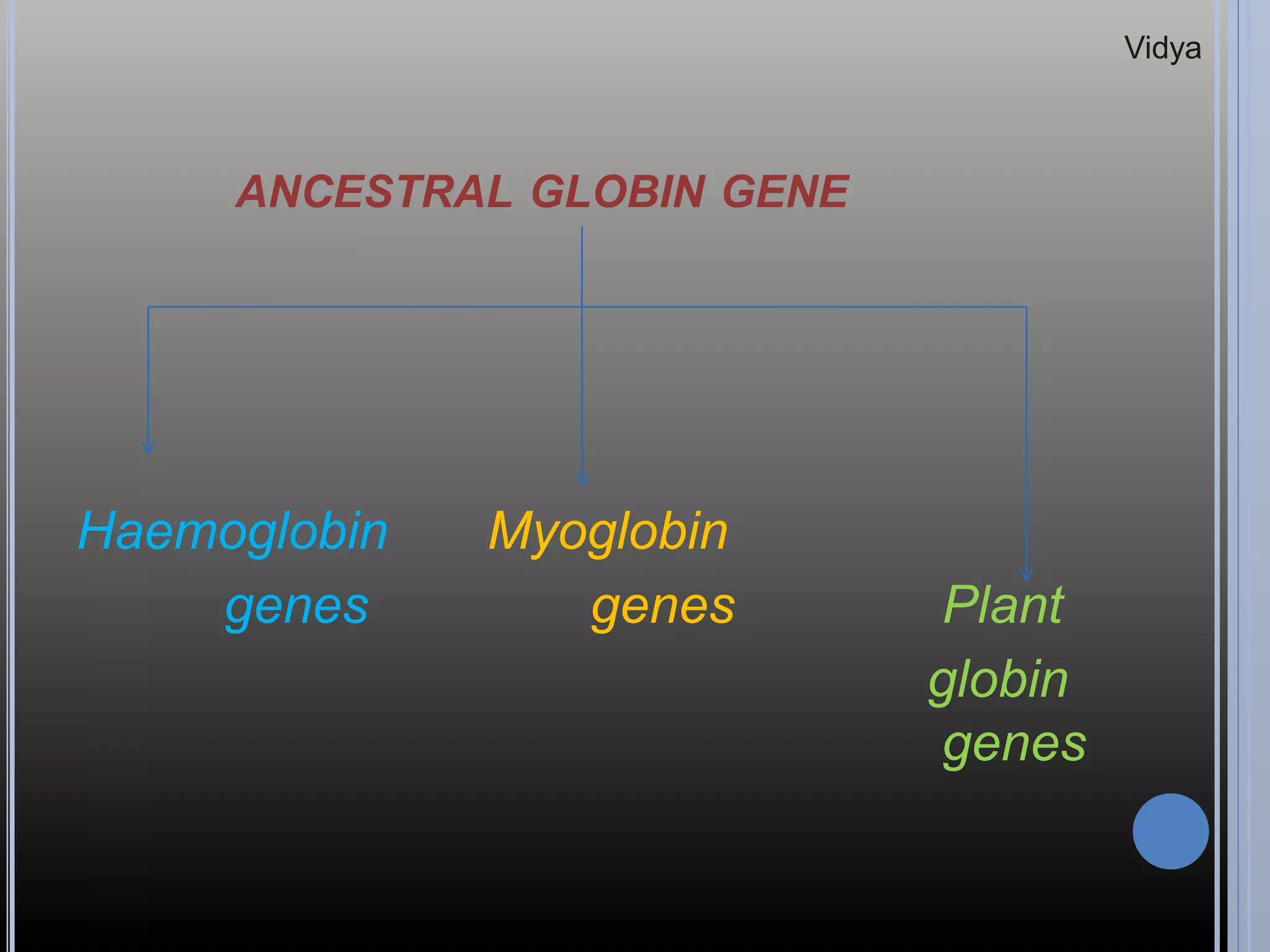 Gene families and clusters | PPTX
