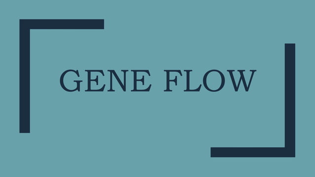 Gene flow | PPTX