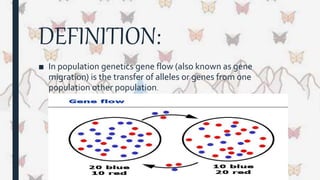 Gene Flow Definition