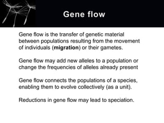 Gene Flow.pptx | Genetics | Science
