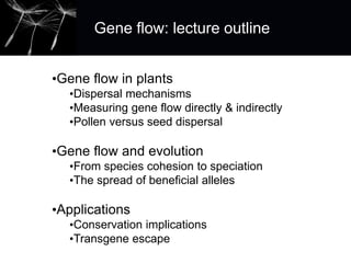 Gene Flow.pptx