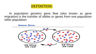 gene flow gene flow gene flow gene flow.pptx | Genetics | Science