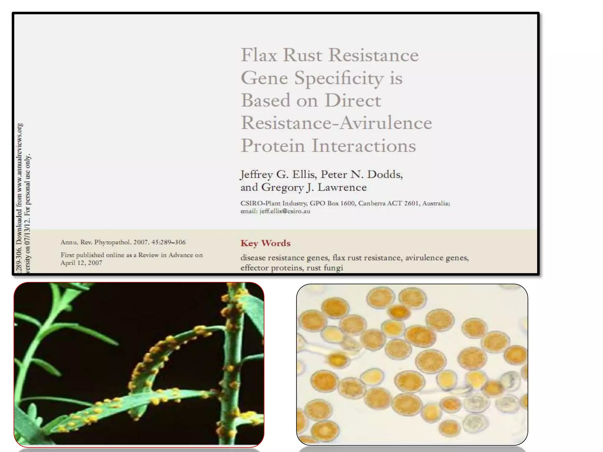 Gene for gene hypothesis | PPTX