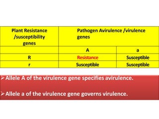 Gene for gene hypothesis | PPTX
