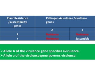 Gene for gene hypothesis | PPTX